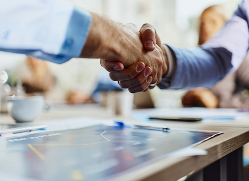 Distressed Asset Acquisition - NBI